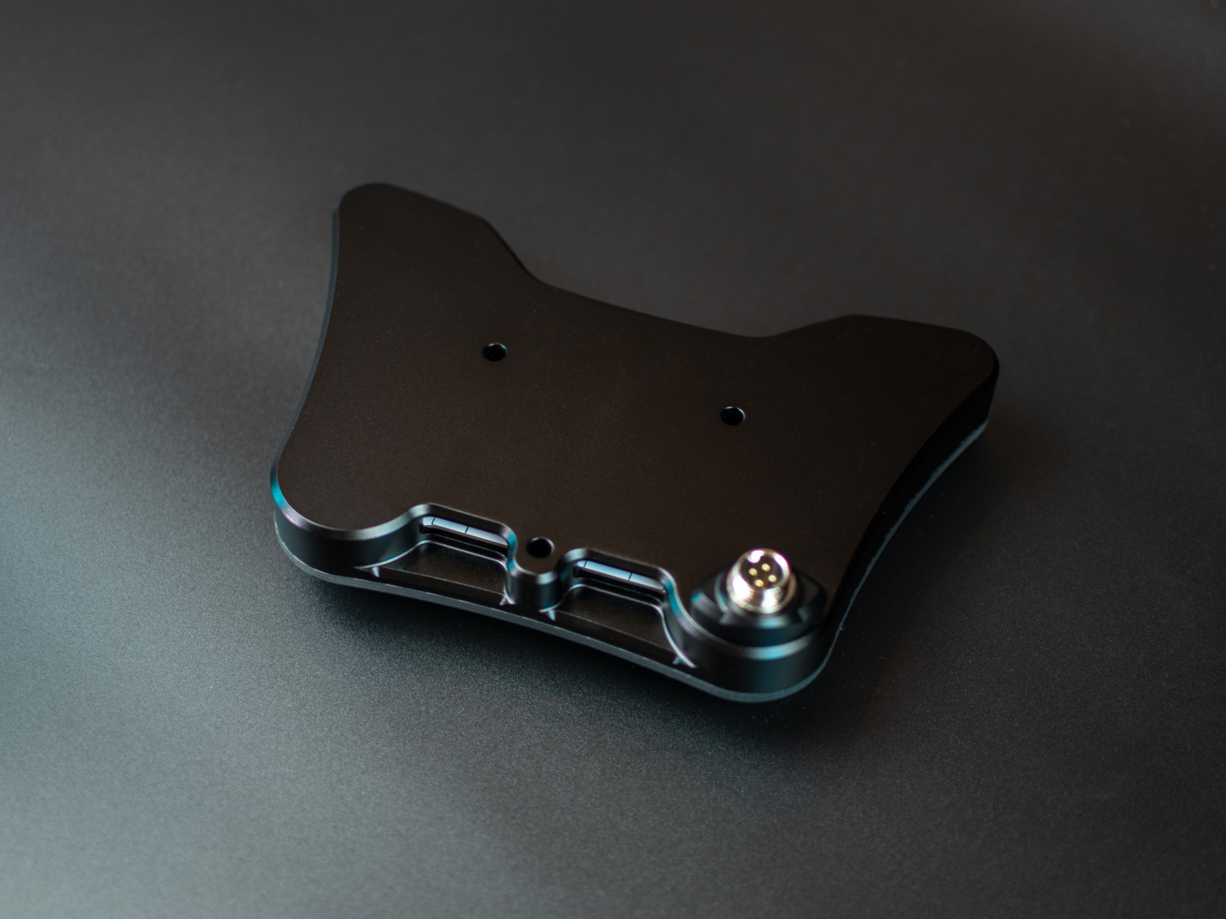 RALLY Button Plate – Pokornyi Engineering